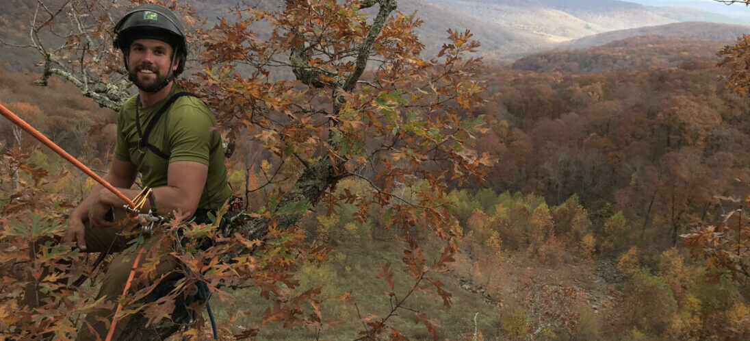 Certified Arborist - West Alabama Arboriculture